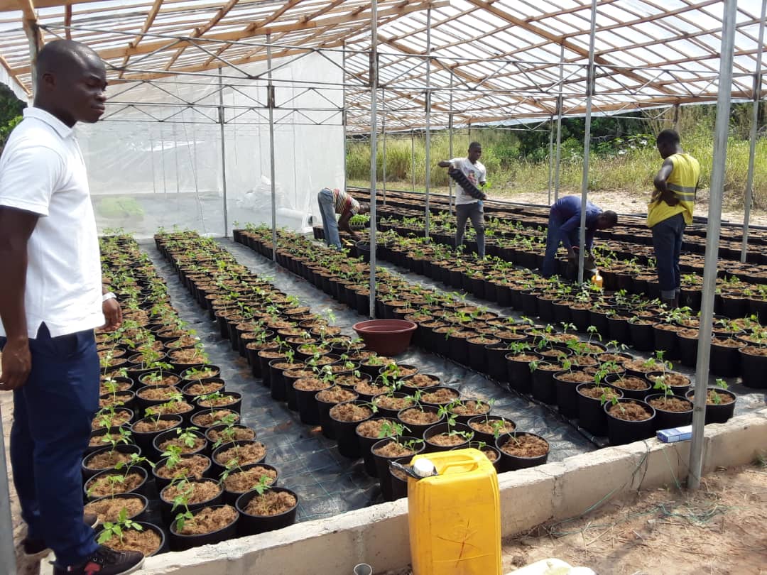 HortIvoire – Agrifer