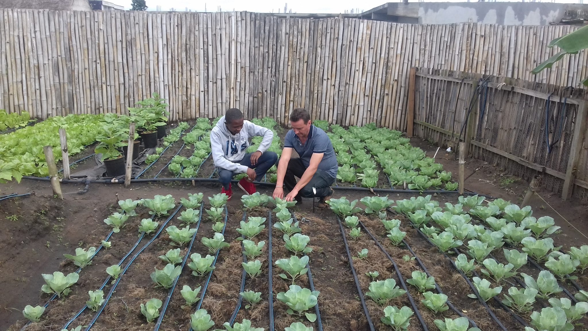 Semences – Agrifer