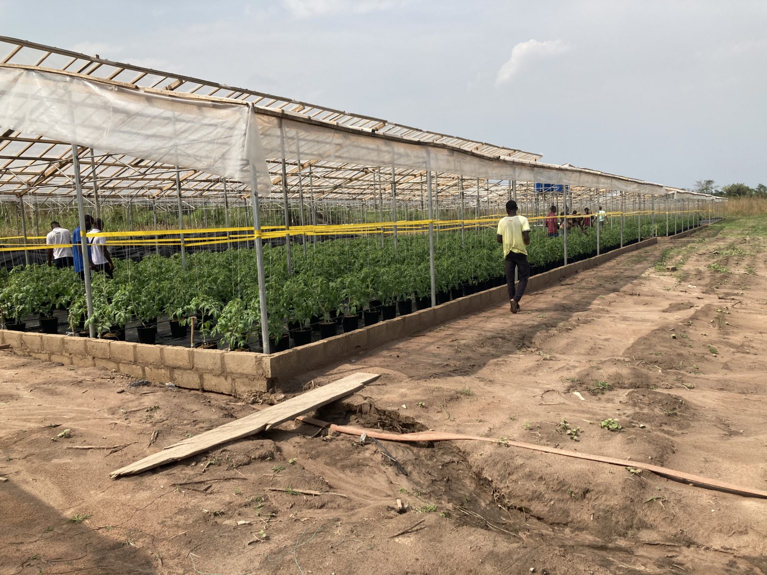 HortIvoire – Agrifer