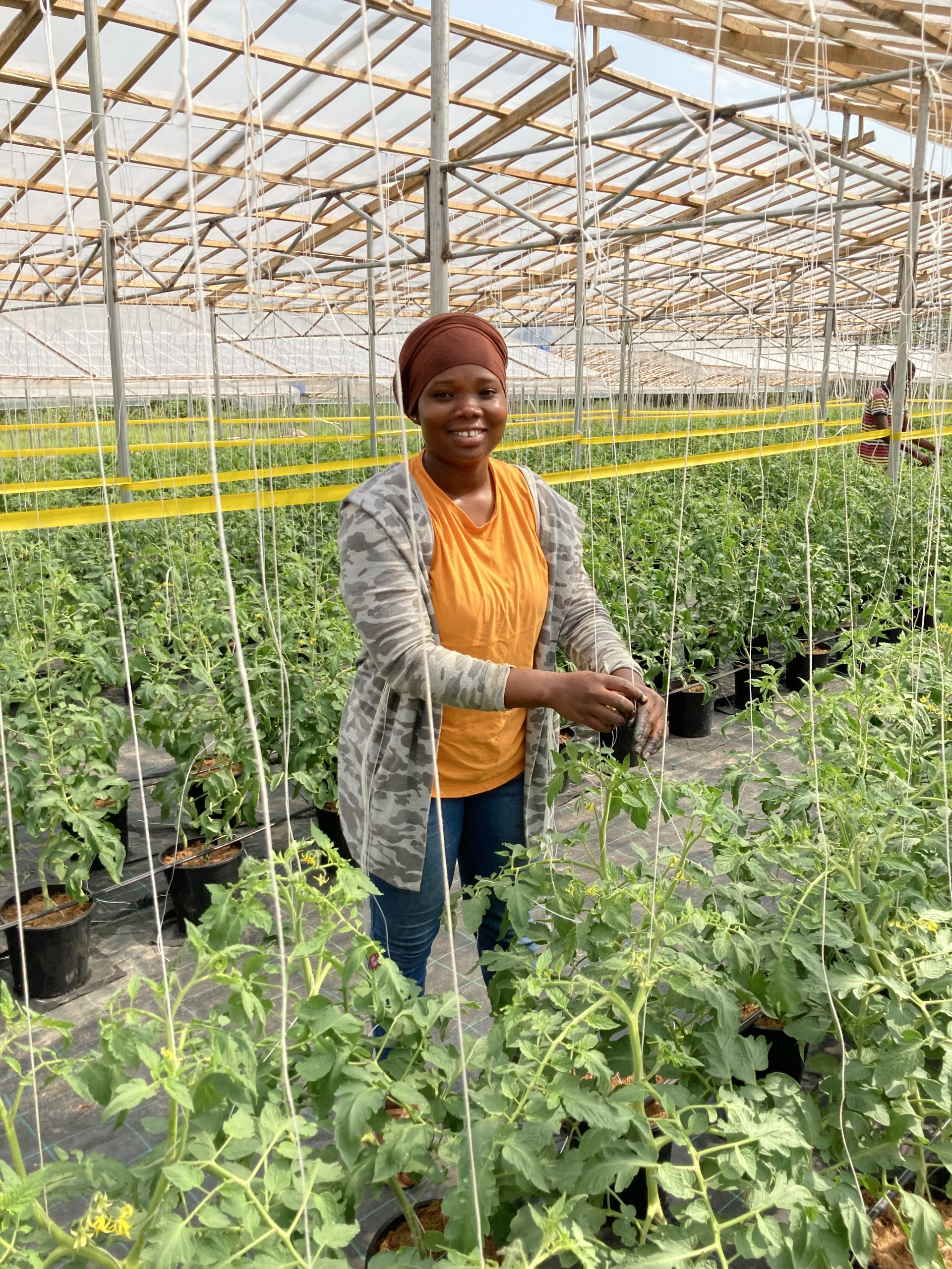 Actualités – Agrifer